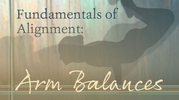 Arm Balance Sequence for Flexibility and Focus