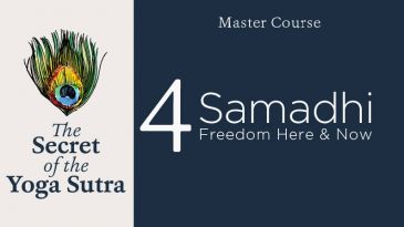 The Stages of Samadhi According to the Ashtanga Yoga Tradition